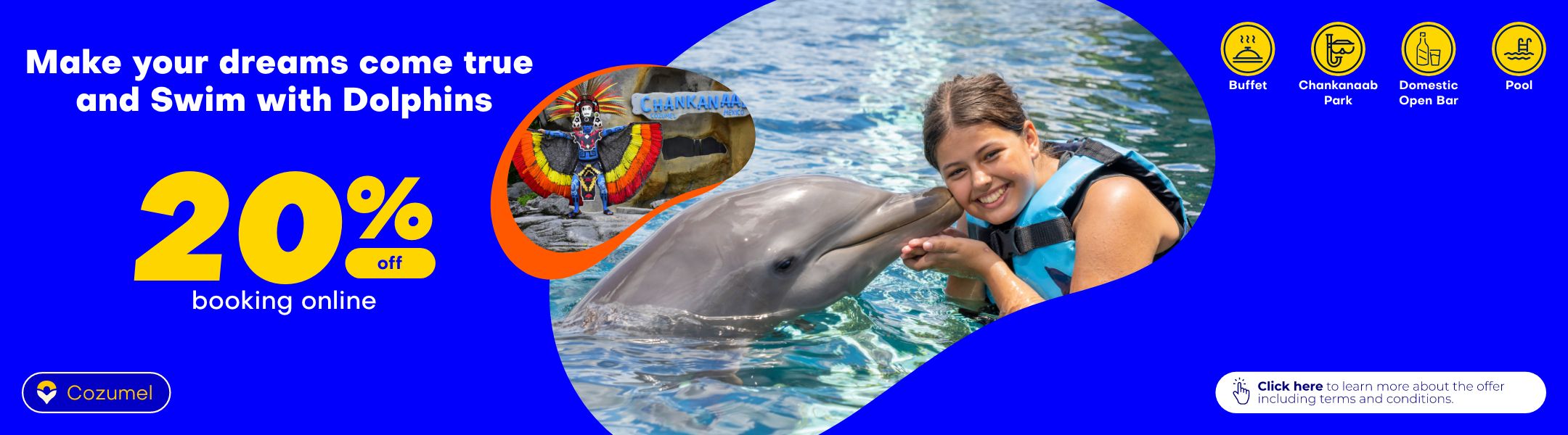 Swim with Dolphins in Mexico & The Caribbean | Dolphin Discovery